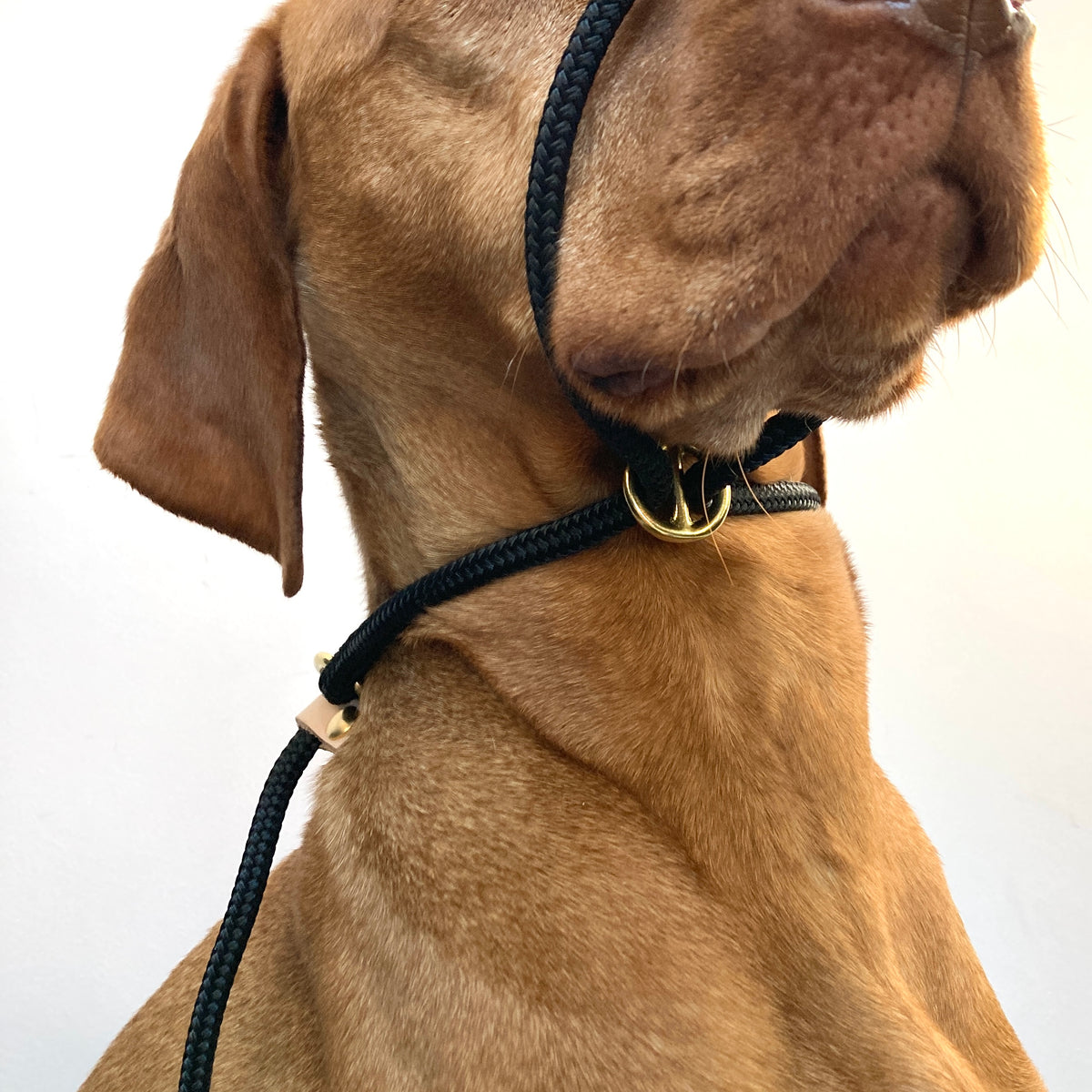 Figure of Eight Slip Lead - 6mm – Oonalfie